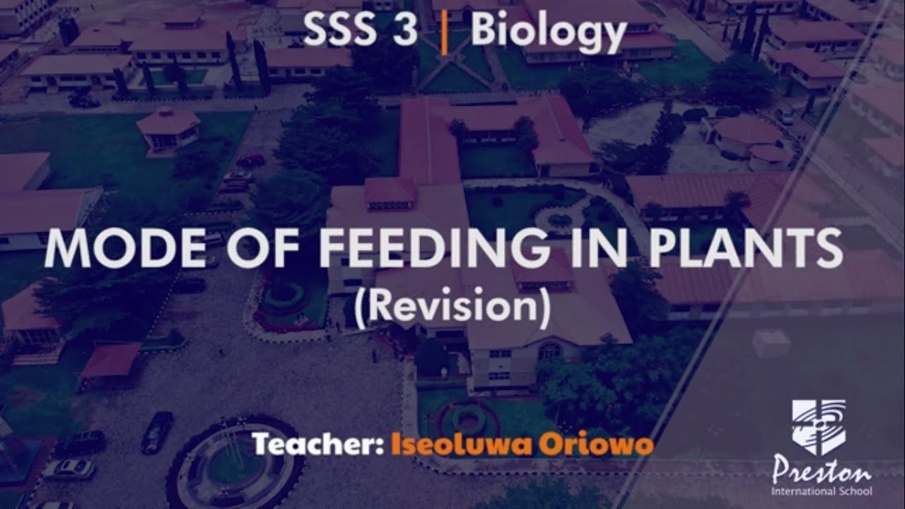 Mode of Feeding in Plants (Revision) - SSS3 Biology - YouTube