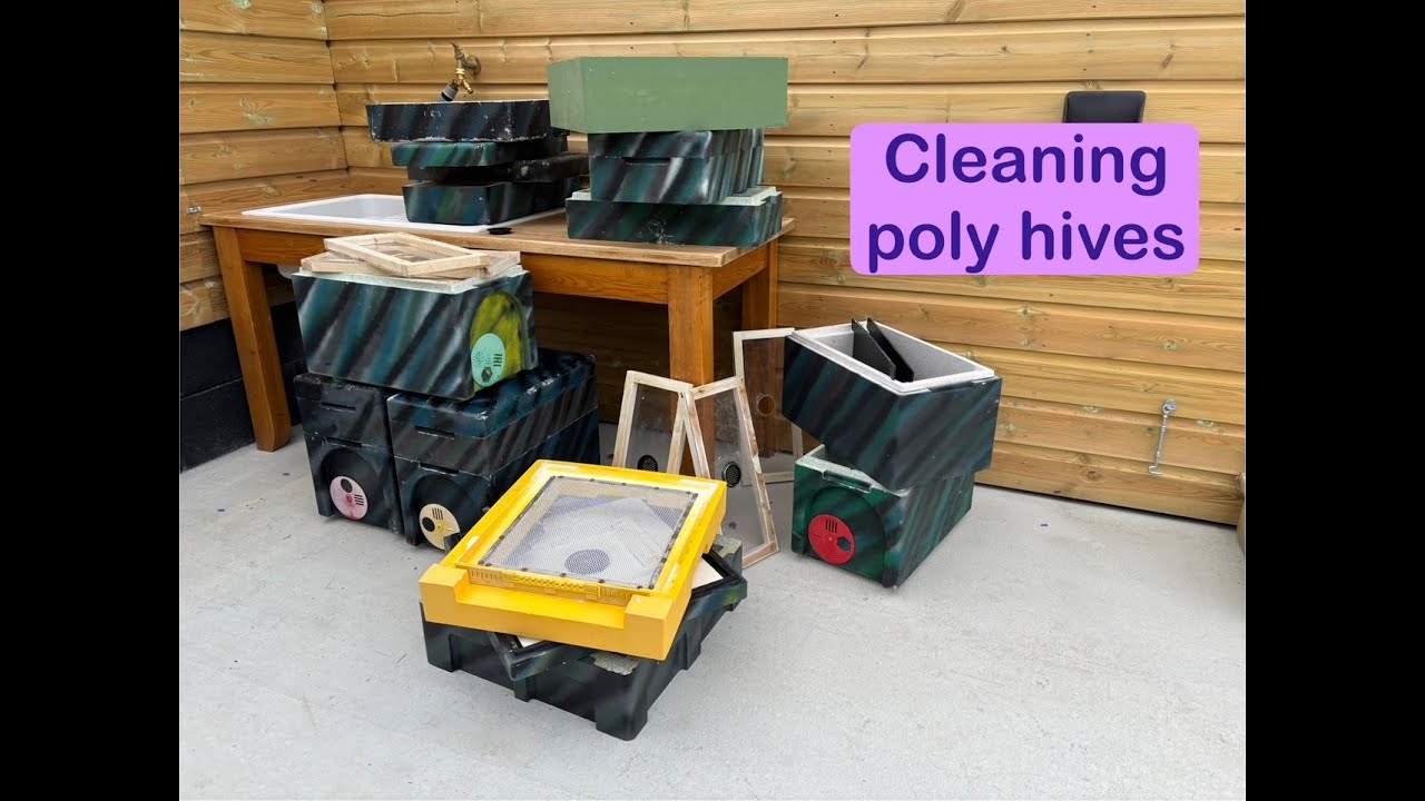 Cleaning Poly hives - YouTube