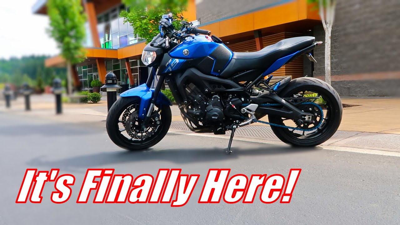 The New Build is Here! | FZ-09 Reveal - YouTube