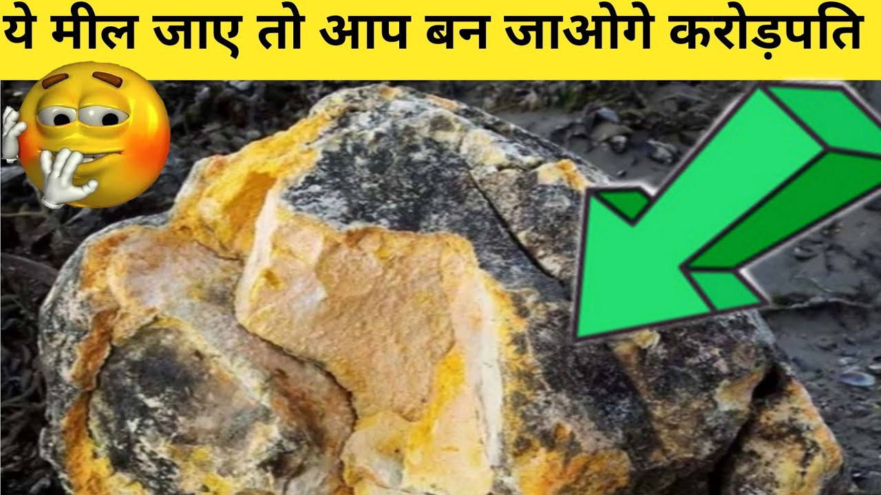 व्हेल मछली की उल्टी इतनी महंगी होती है | whale fish ulti | well machli ...