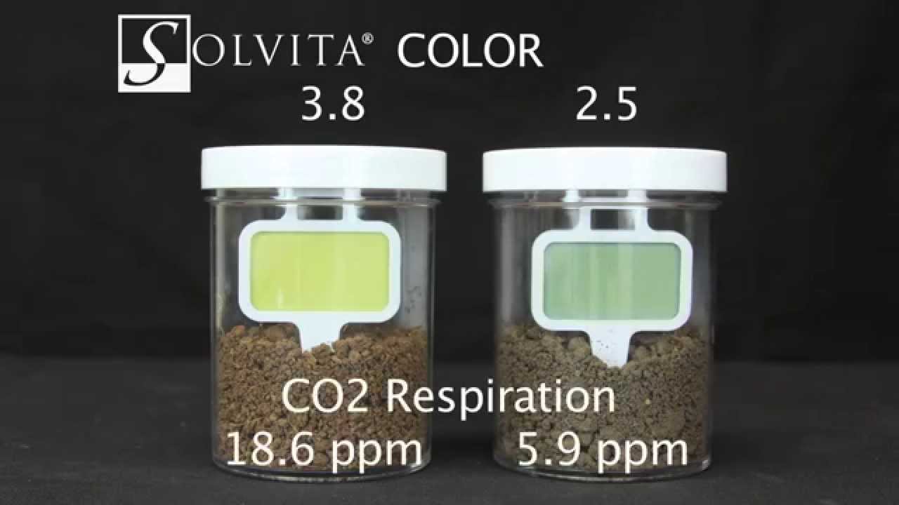 Solvita Soil Basal Respiration Time Lapse - YouTube