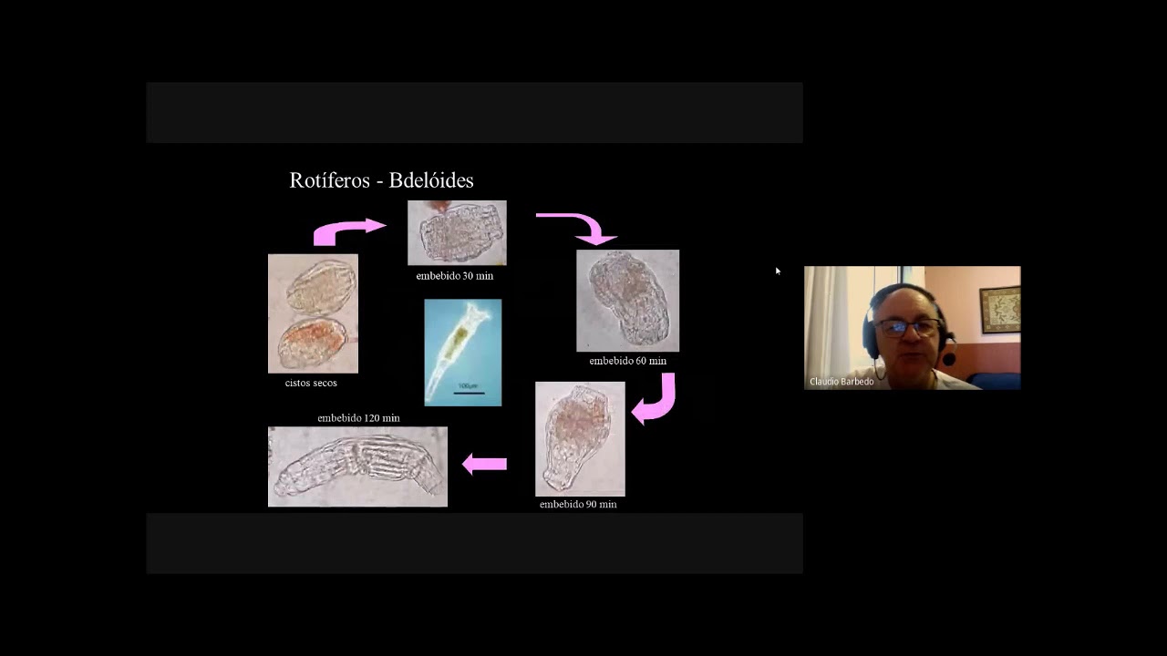Fisiologia de sementes ortodoxas e recalcitrantes - parte 2 - YouTube