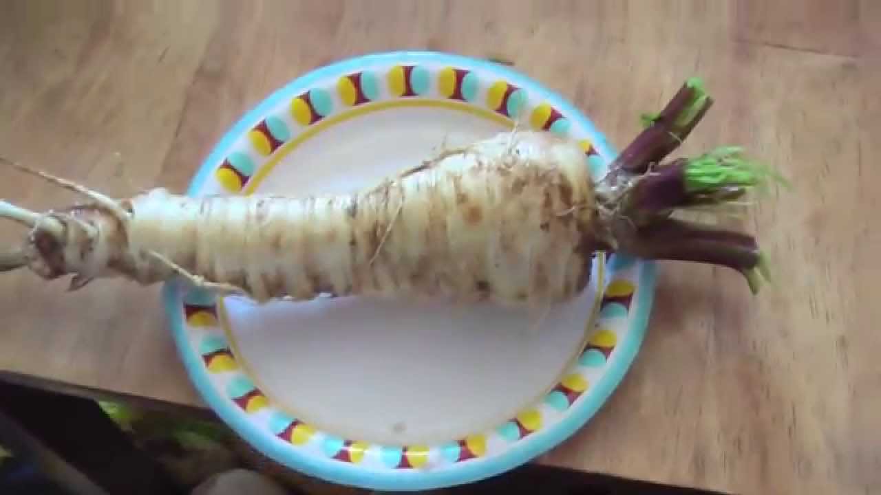 Secret compost grows LARGE PARSNIP! - YouTube