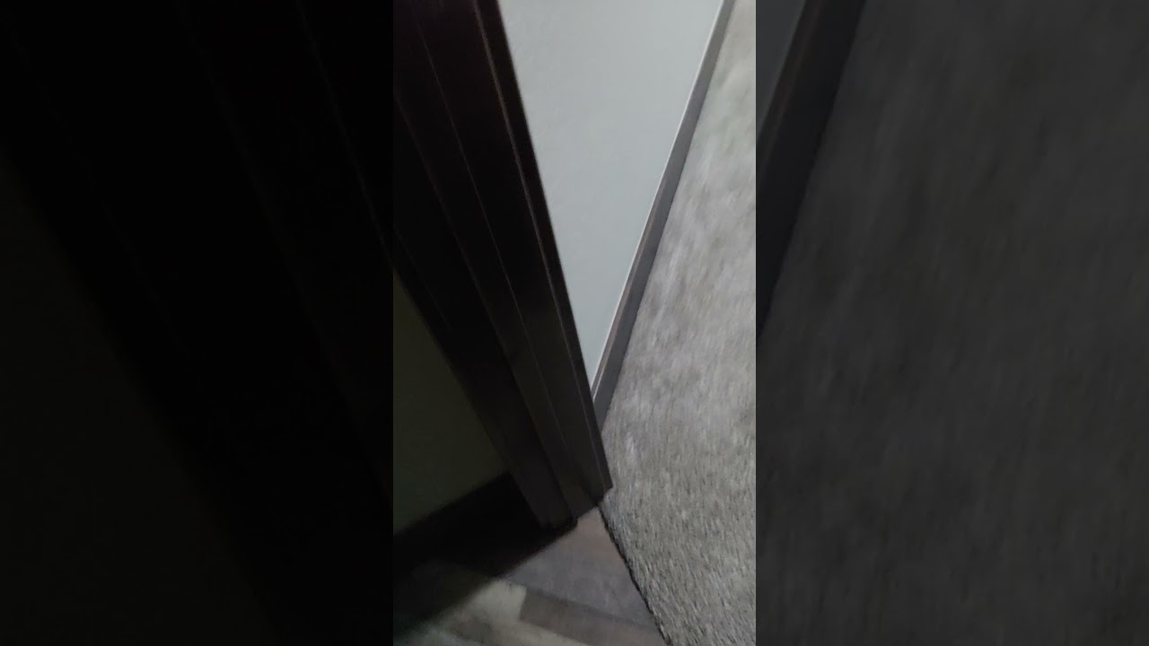 Scary Clown Peeping in window prank. - YouTube