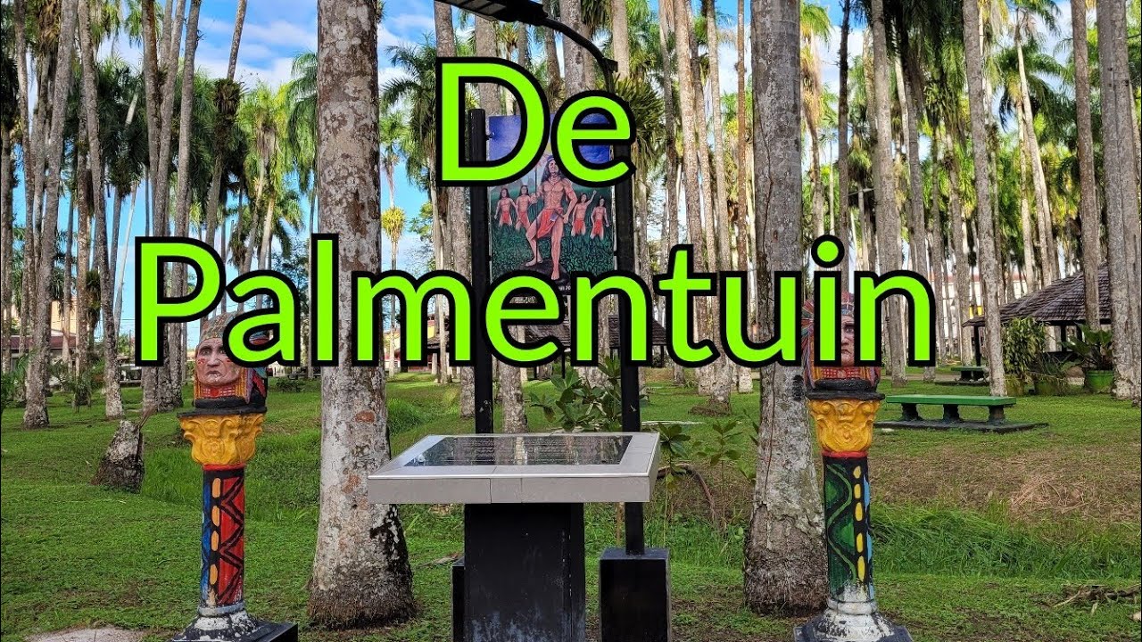 Suriname:De Palmentuin#The Palm garden - YouTube