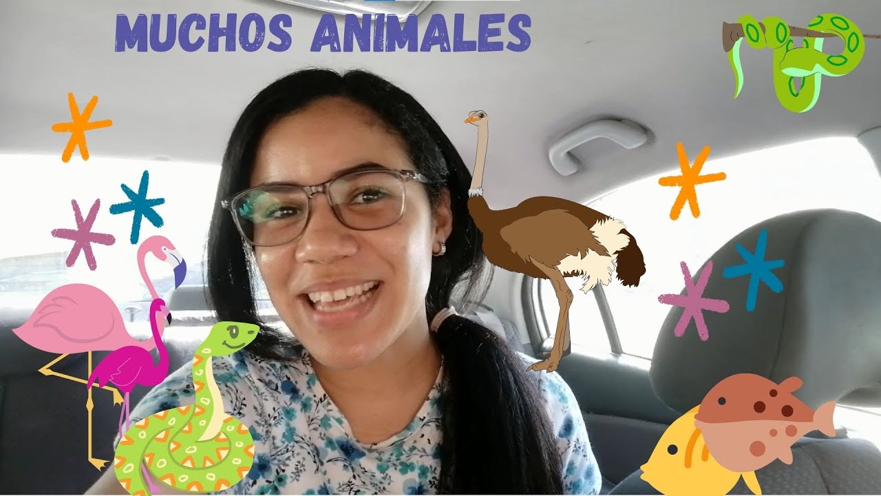 Vamos al zoológico - YouTube