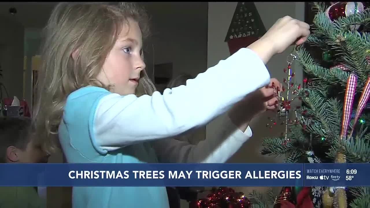 Cleveland Clinic allergist speaks on Christmas tree syndrome - YouTube