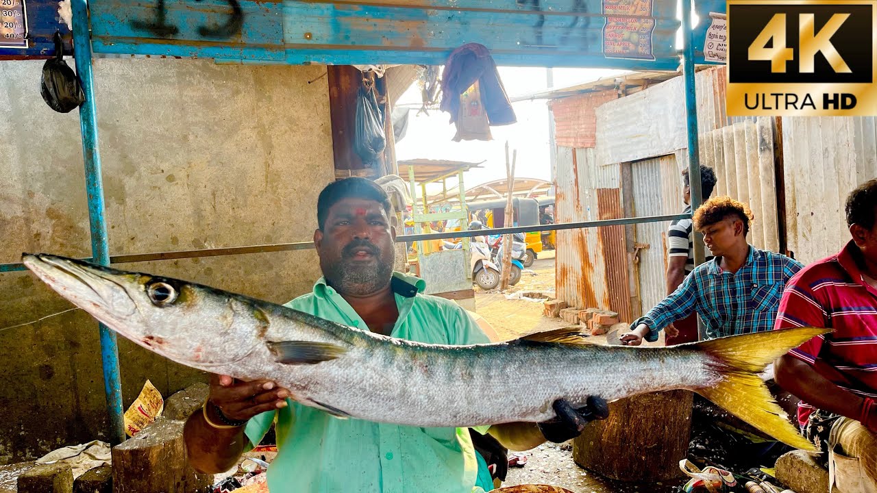 Sila fish cutting video/fishcuttingrs#fishcuttingrs #kasimedu #fish ...