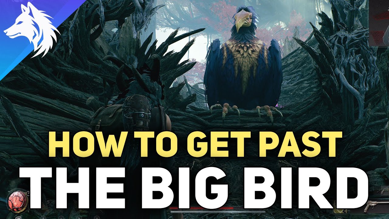 How To Get Past The Big Bird Remnant 2 - YouTube