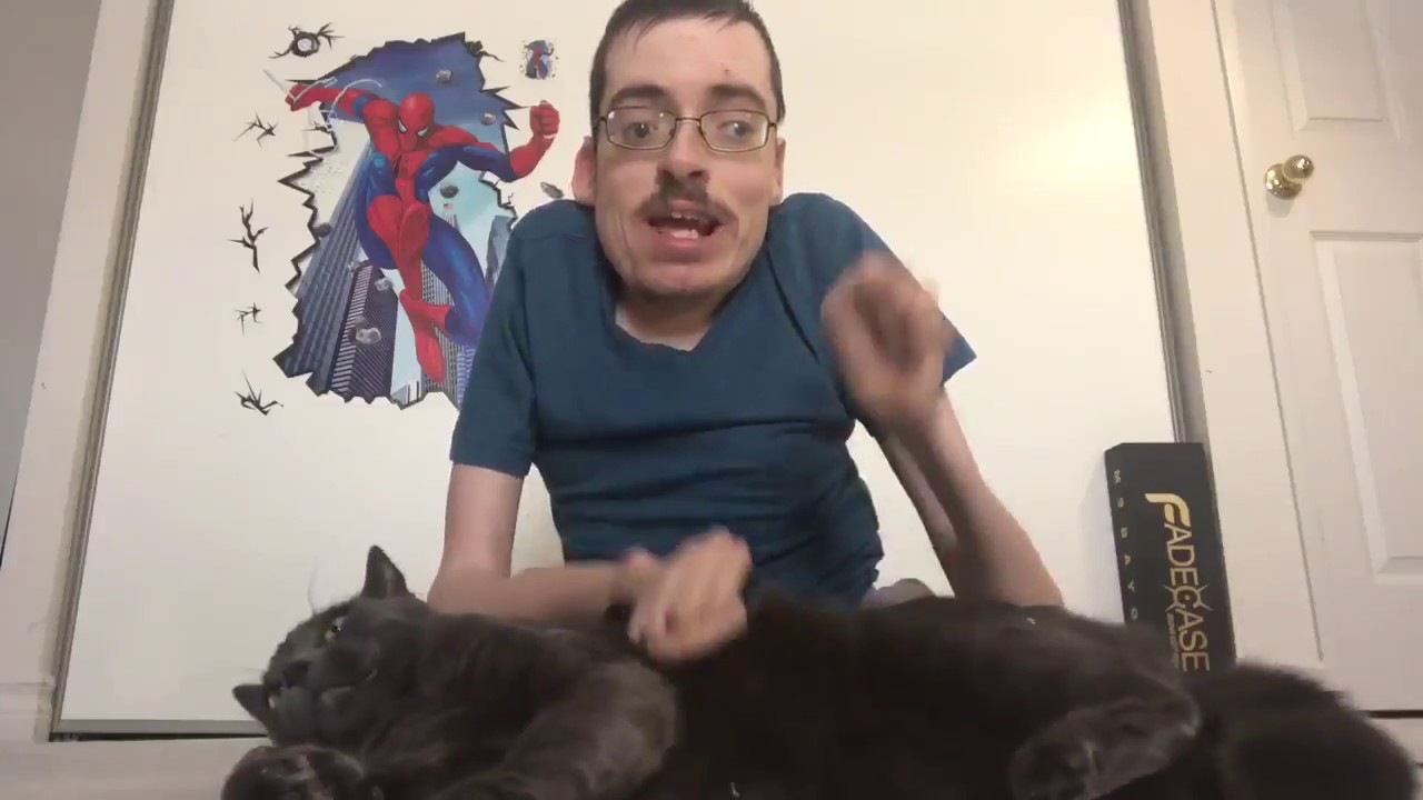 KITTY CAT PIE 🥧 - Ricky Berwick - YouTube