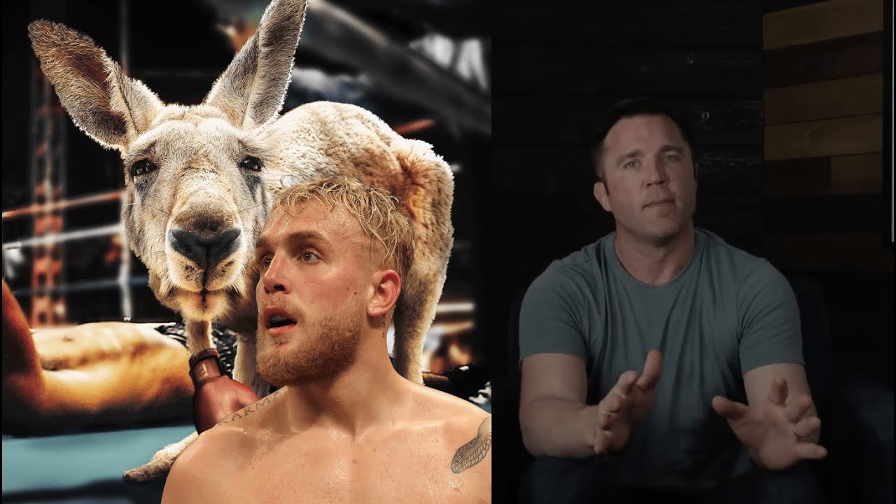 Jake Paul Is Going To Box A Kangaroo? - YouTube