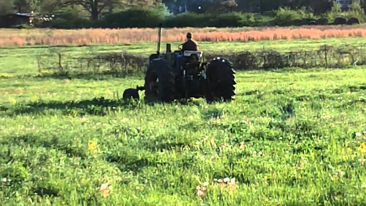 Oliver 1950-T Tractor - YouTube