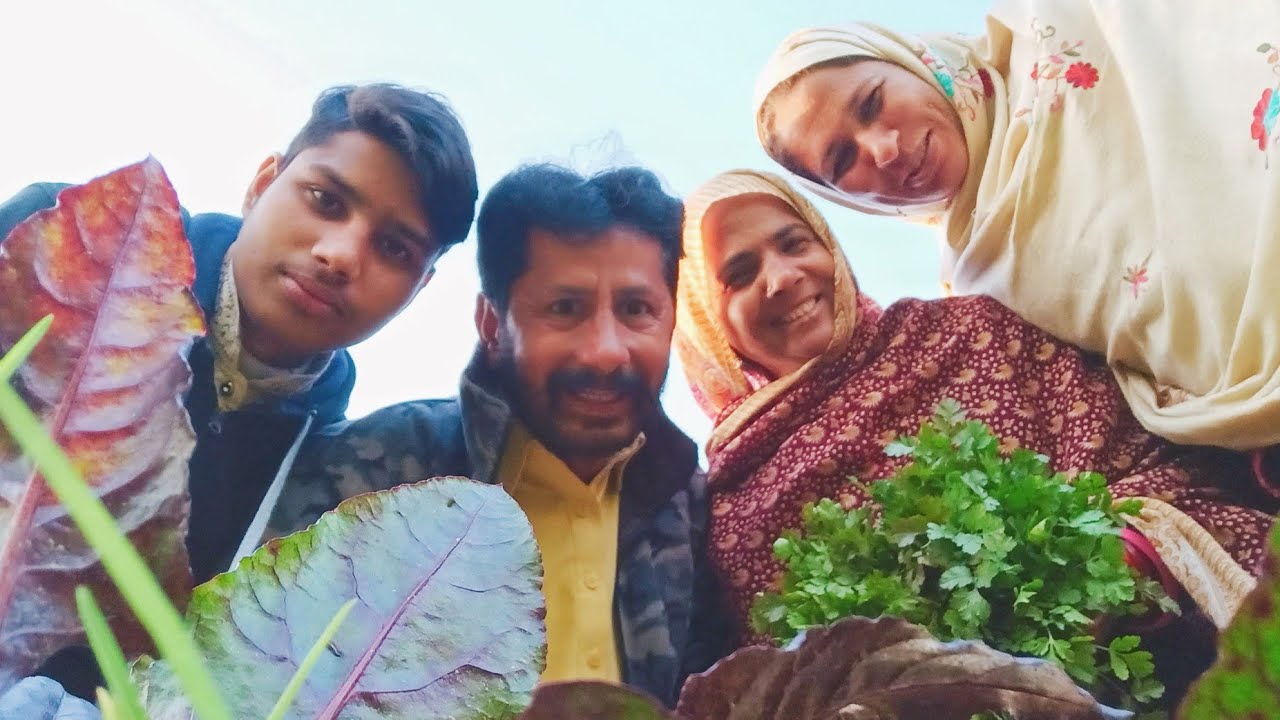 Vegetable | Desi Vlog | Desi Life | My Vlog | village village - YouTube