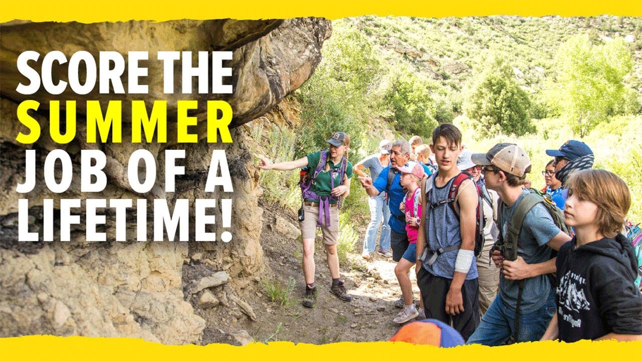 Everything You Need to Know About Working at a BSA Camp or High ...