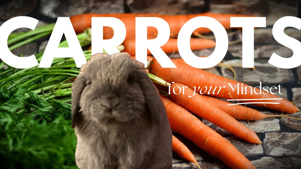 Calming carrot crunch sesh - YouTube