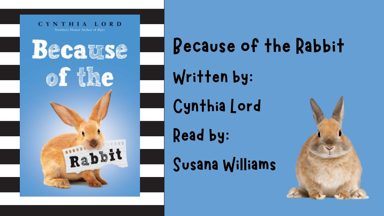 Because of the Rabbit: Ch. 10 Rabbits have scent glands under their ...