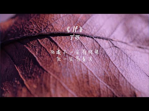 If - 丁可