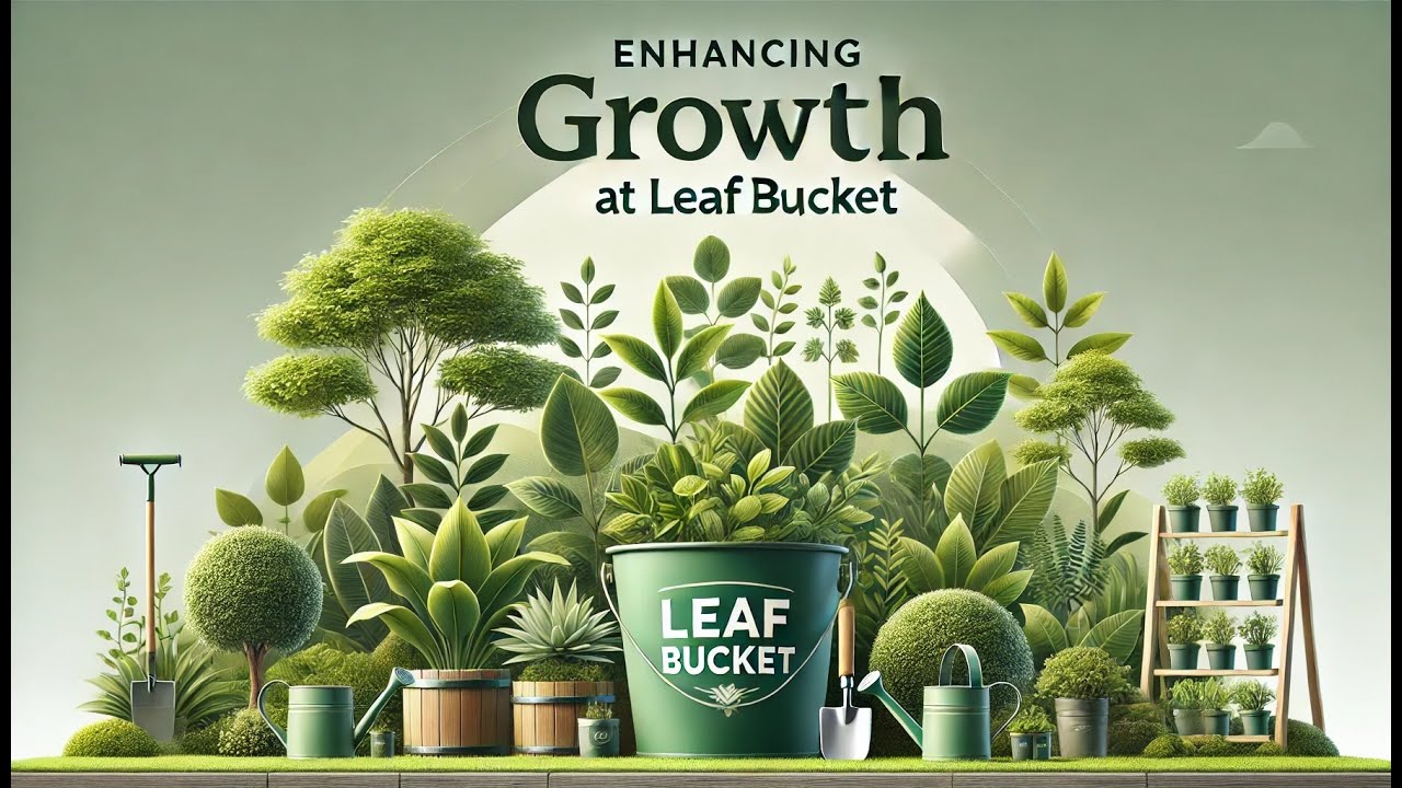 Driving Growth for Leaf Bucket: Strategic Insights & Key Learnings from ...