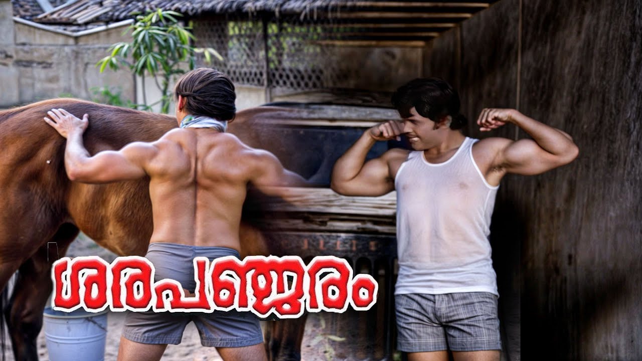 ശരപഞ്ചരത്തിലെ ജയൻ എന്ന് കേട്ടാൽ ഓർമ്മ വരുന്ന സീൻ | Sarapancharam | Jayan | Sheela | Movie scene ...