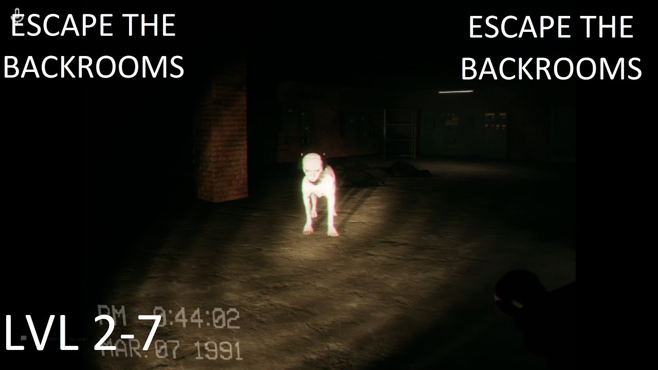 Is there a way to ESCAPE The BACKROOMS?! ft Shyguy_78 (Escape The ...