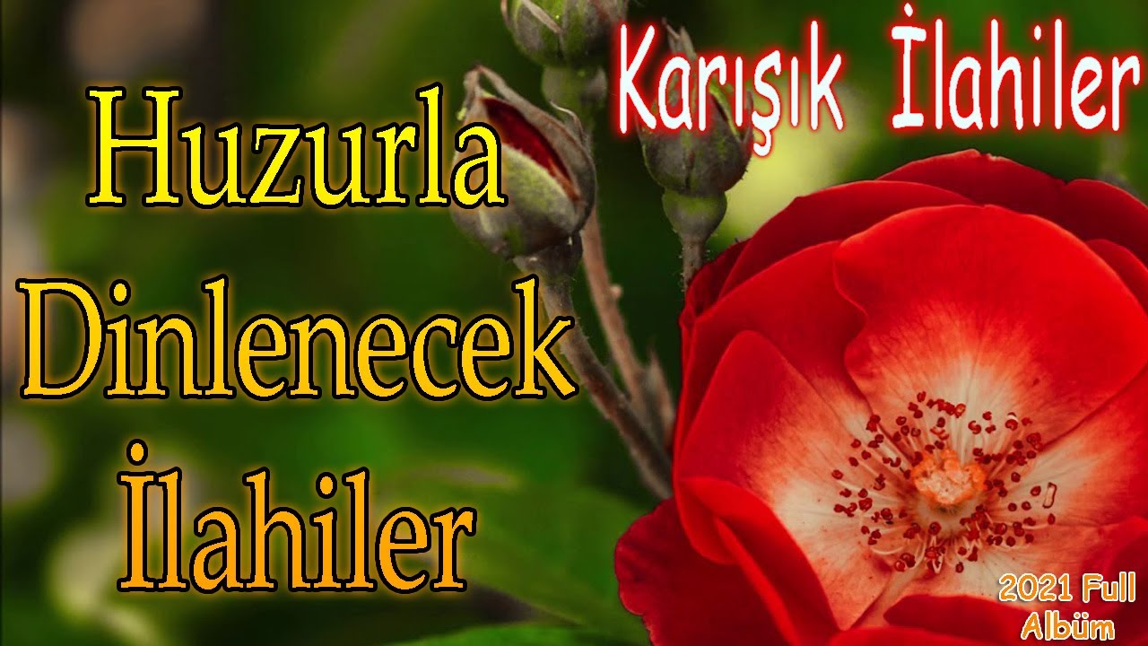 🌹En Güzel İlahiler Ve Karışık Müziksiz İlahiler🌹Yeni İlahi Dinle ...