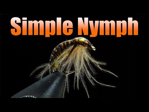 Simple Nymph Fly Tying - Realistic All Purpose CDC Trout Nymph - YouTube