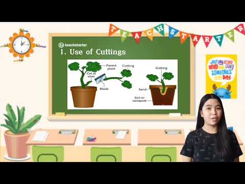 REPRODUCTION AMONG FLOWERING PLANTS AND ANIMALS (Grade 5)