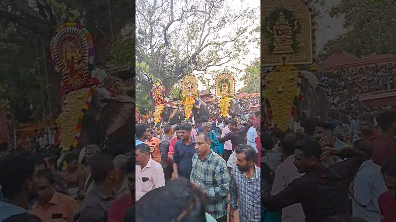 #Kollam pooram#kollam #festivalspecial #trending #ulsavam #ambalam # ...