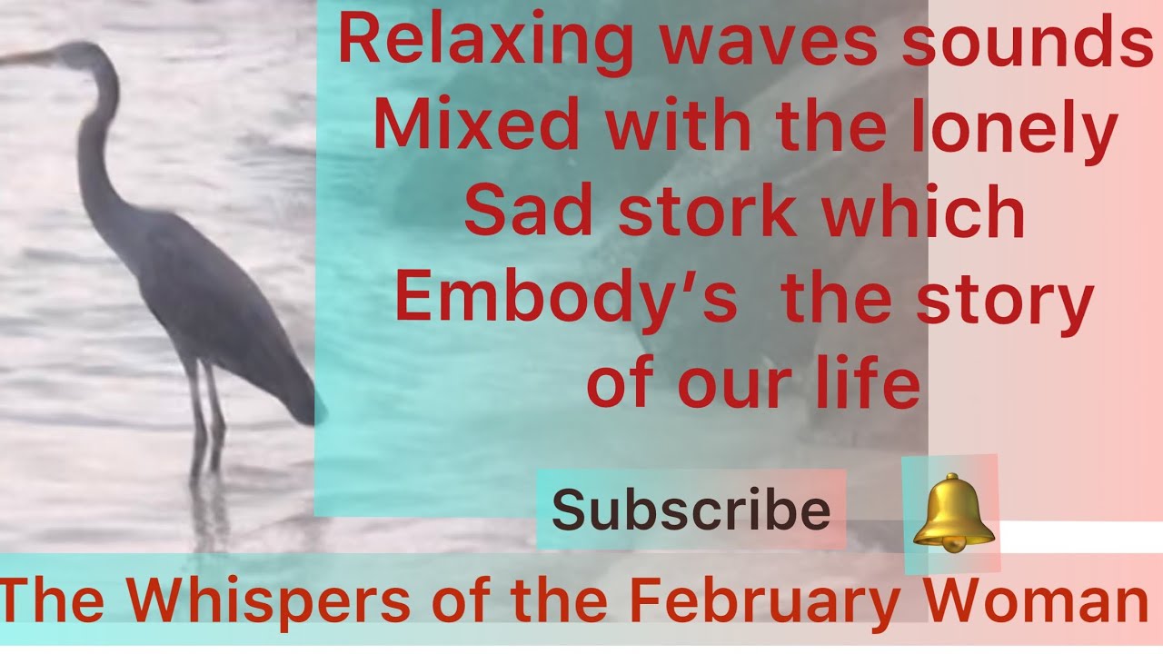 2021/ Relaxing waves sounds mixed with the lonely sad stork which ...