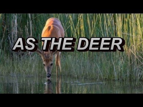 AS THE DEER - Acoustic guitar instrumental Christian worship hymns with ...