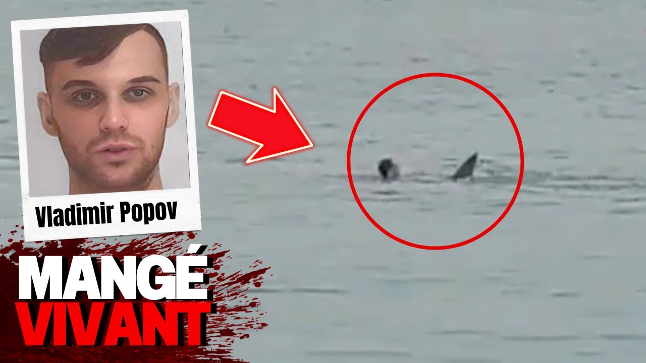 La Terrifiante Attaque Du Requin Sur Le Touriste Vladimir Popov En ...