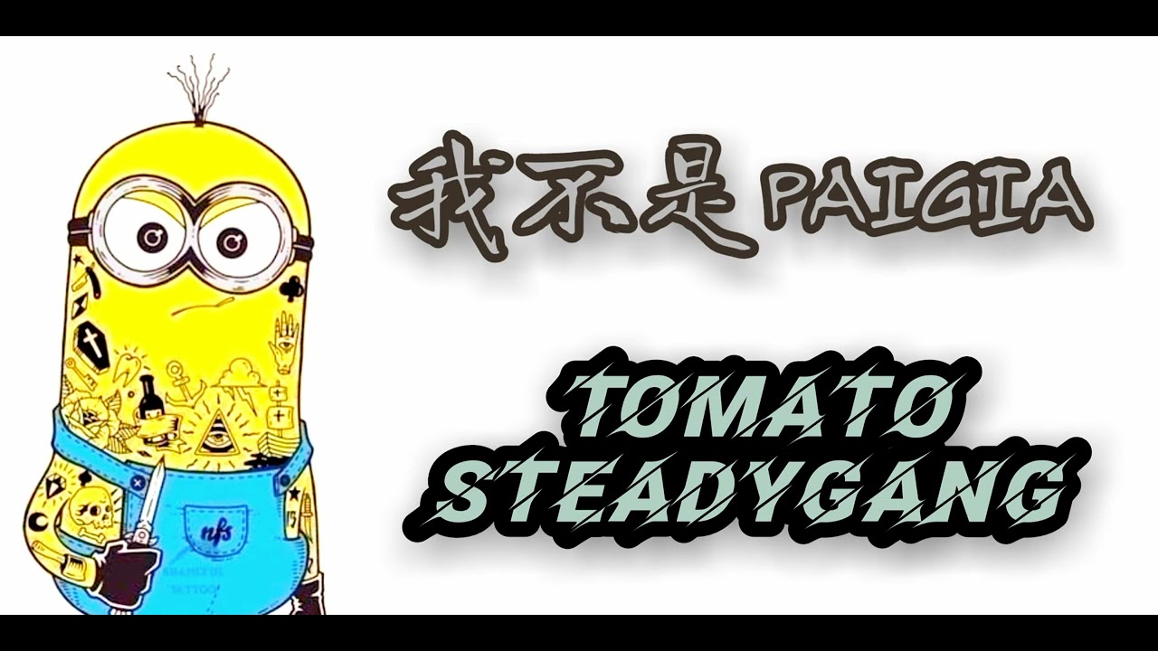 [ 我不是Pai Gia ] Tomato SteadyGang - Minion版 - YouTube