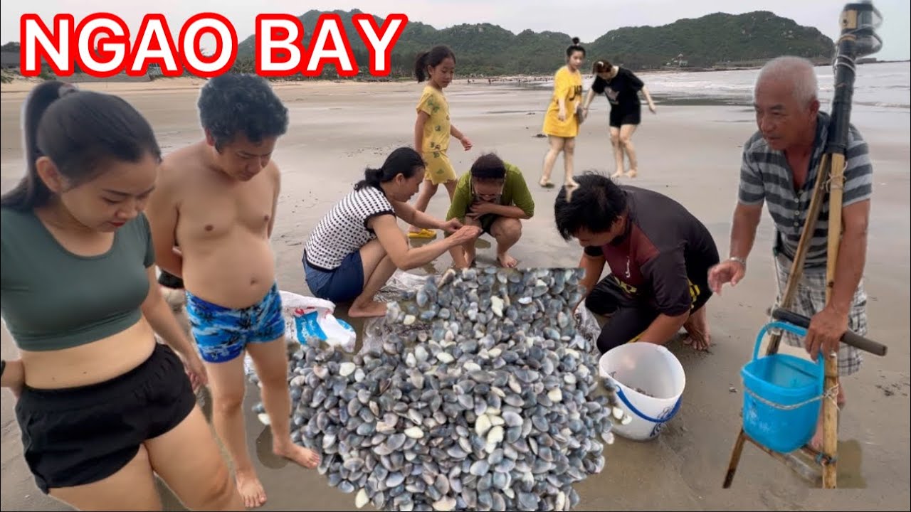 BIỂN ĐỘNG DÂN LONG HẢI XUỐNG BIỂN BẮT NGAO BAY # TÔM TÍT - YouTube
