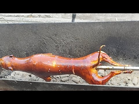 BBQ dog meat with crispy skin