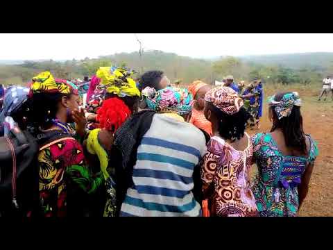 Danse Mbororo