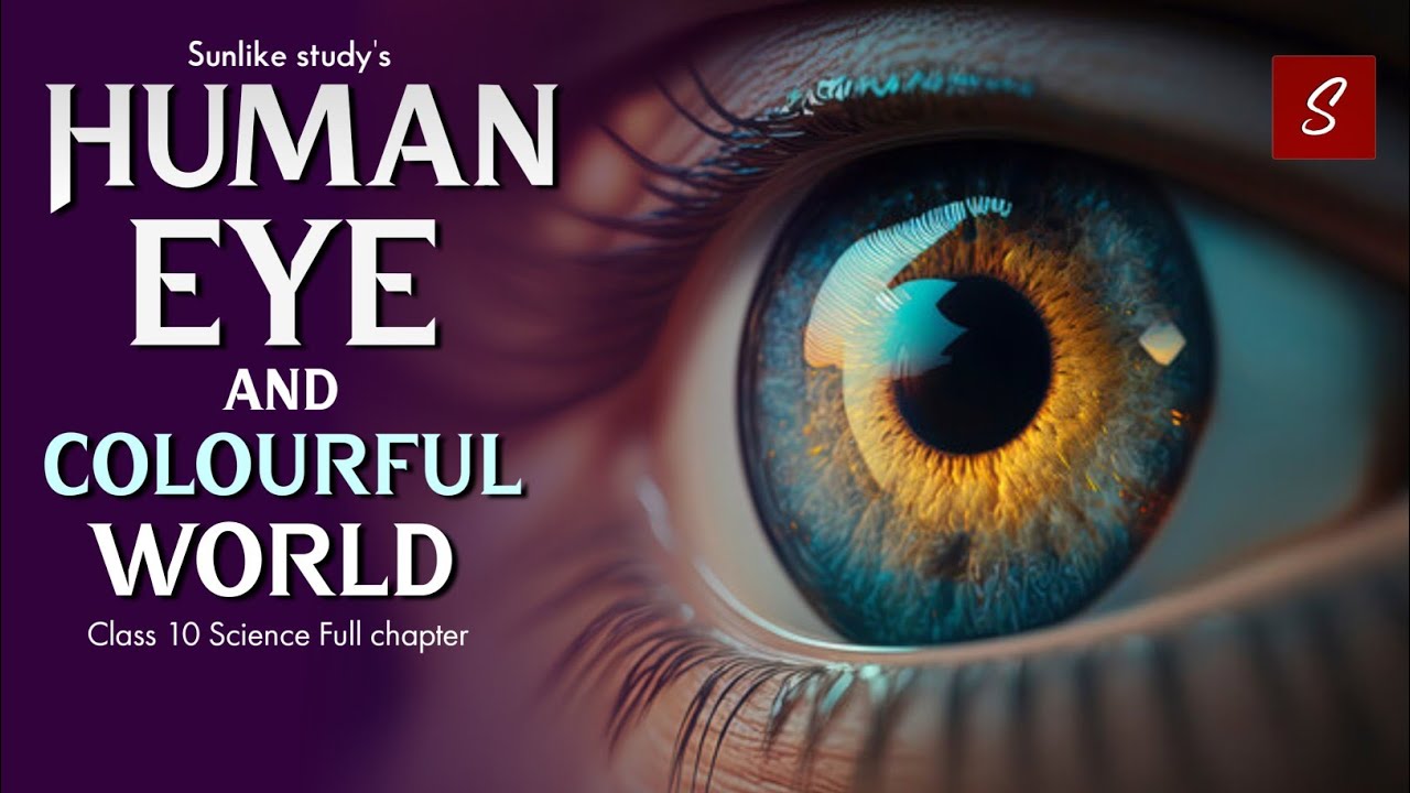 Human Eye And Colourful World Class 10 Notes Science - vrogue.co Human Eye And Colourful World Class 10 Notes Science - vrogue.co