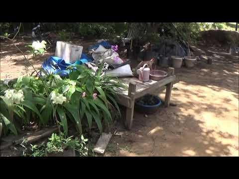 Negotiating The Price Of The Limonsito - YouTube