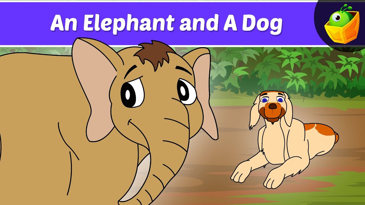 Elephant and dog became best friends !!! - YouTube