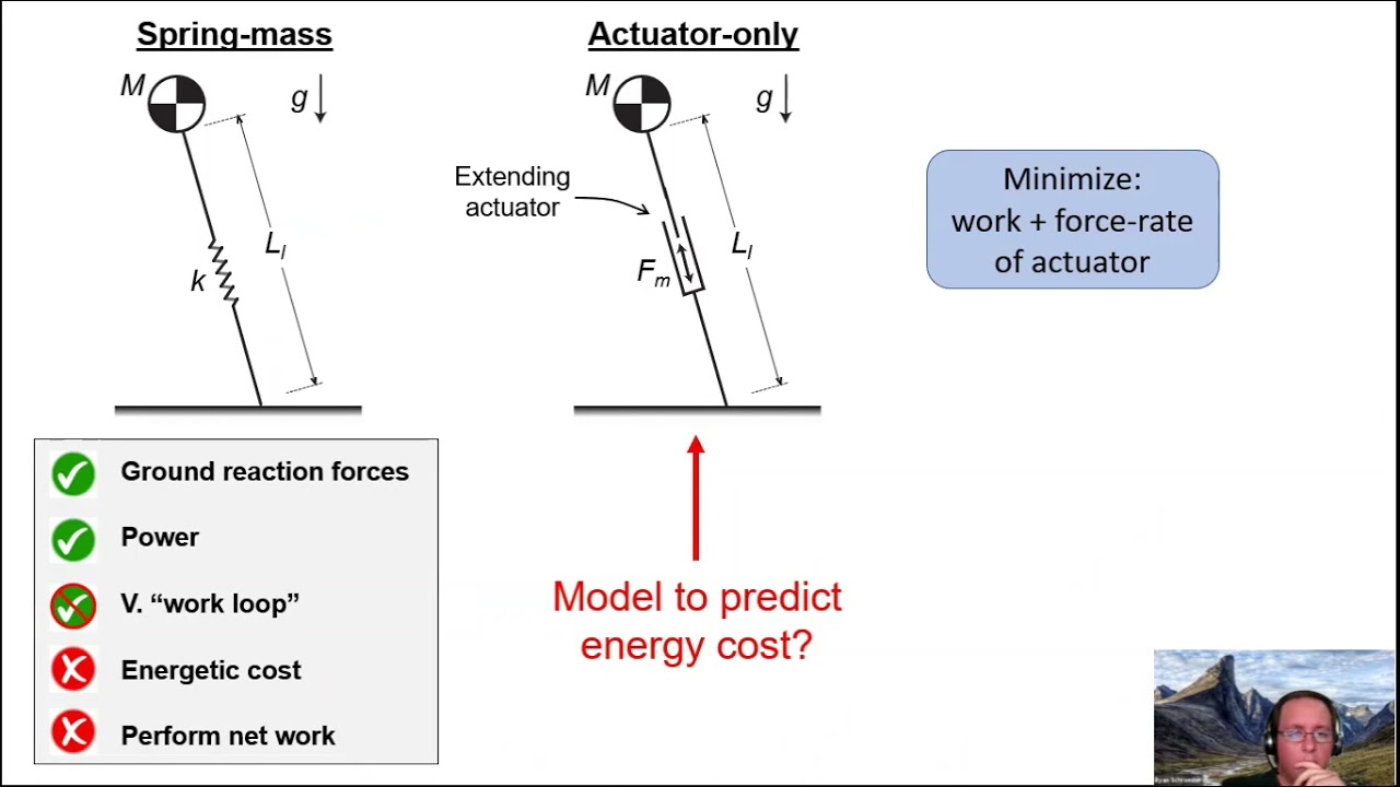 Passive loss and active cost in the spring-mass model of running by Dr ...