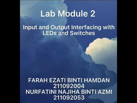 Lab 2 Input and Output Interfacing with LEDs and Switches - YouTube
