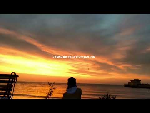 Vüqar Biləcəri - Biləsən Şair (AIS)