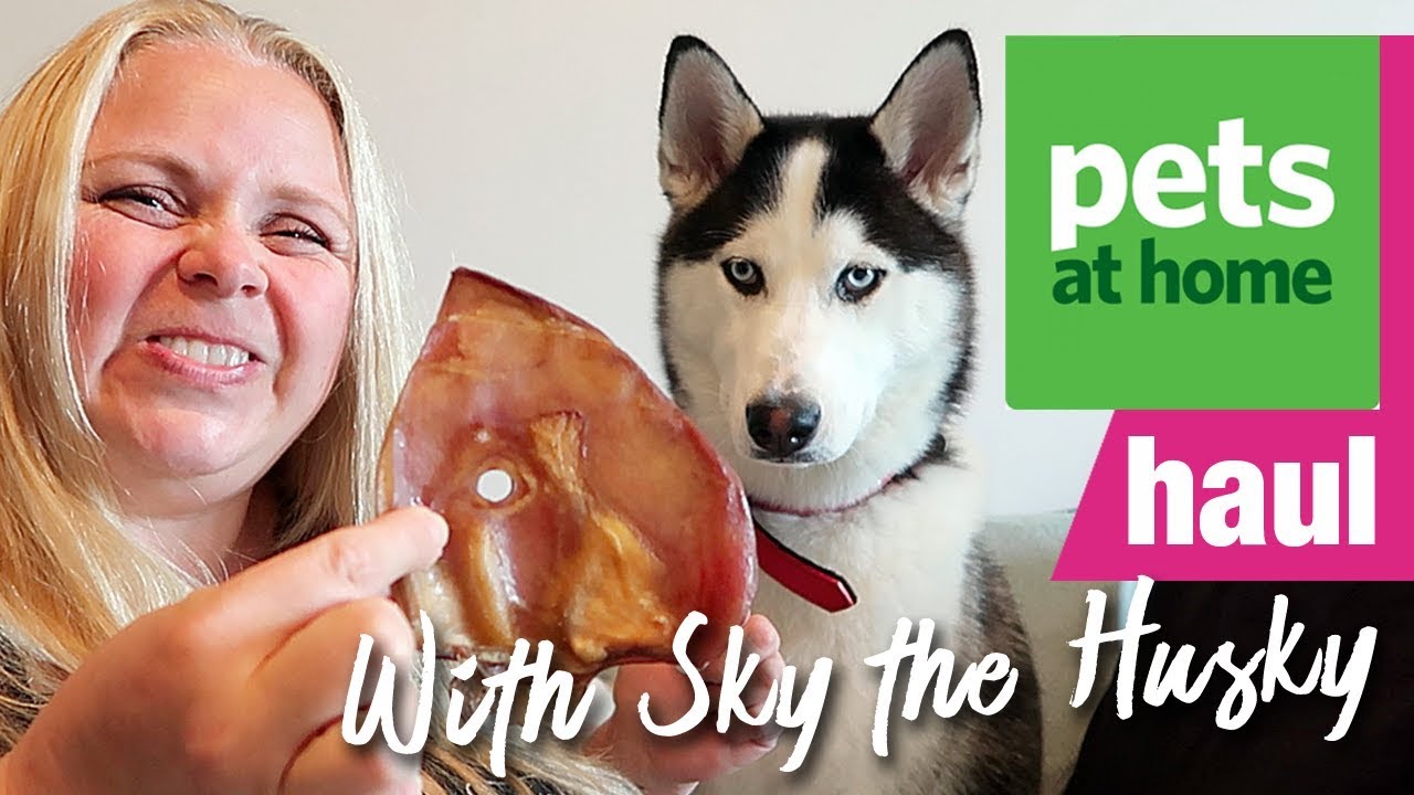 Pets at Home haul for Sky our husky puppy | Our Family Life - YouTube