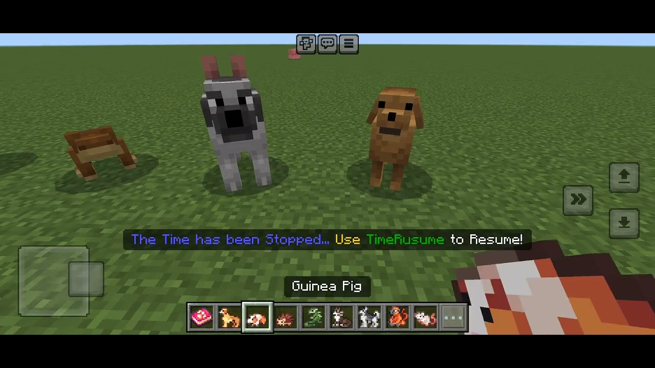 Pets Premium and Spark Pets all pets (I'm Back Baby!!!!!!! - YouTube