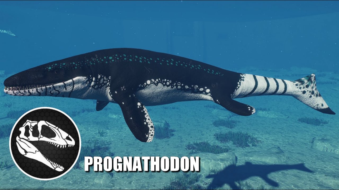 2 Prognathodon vs 3 More Accurate Tylosaurus & More Accurate Mosasaurus ...