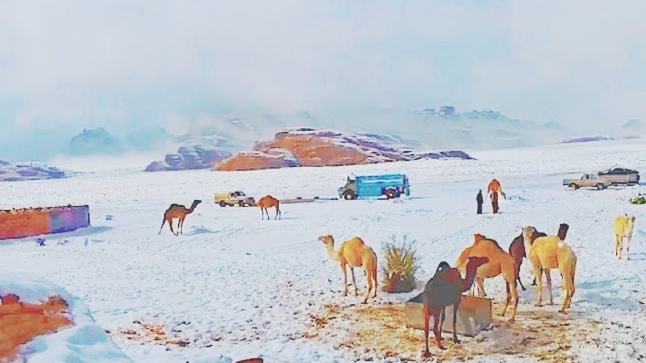 Sandstorm covers snow in the desert, Abdali, Kuwait / Natural Disasters ...