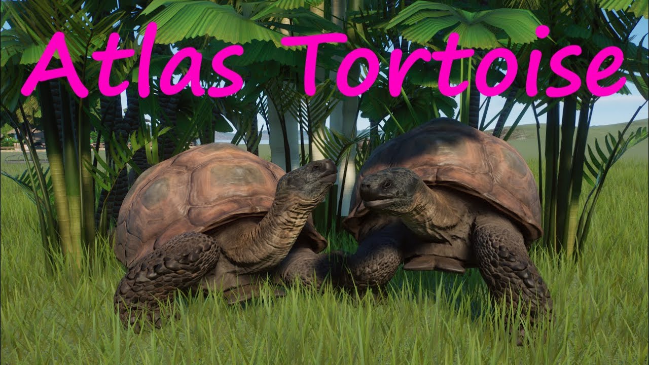 Atlas Tortoise by Scott - Planet Zoo Mod - YouTube