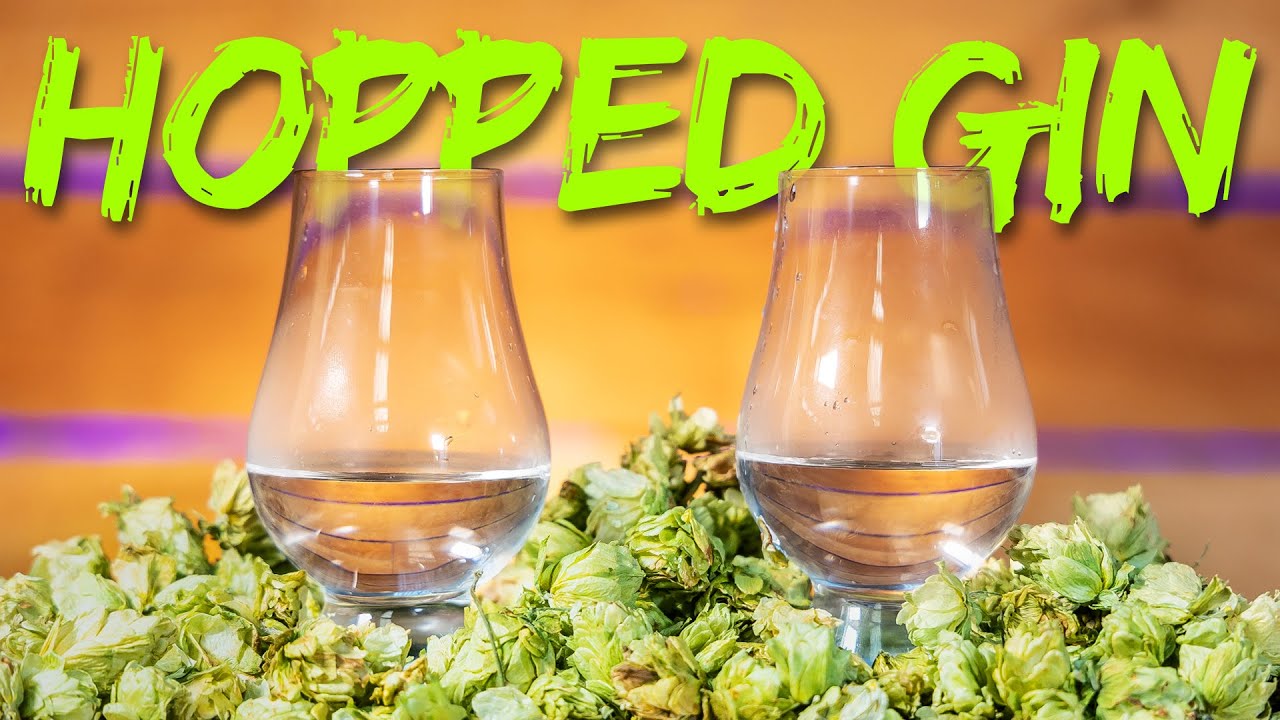 How To Make Hopped Gin: 2 Ways, Juicy & Resinous - YouTube