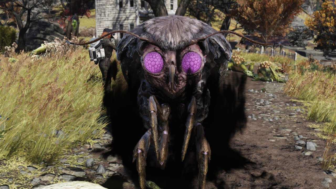 Fallout 76: Mothman Encounter - YouTube