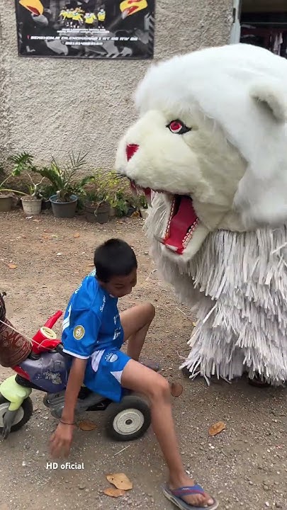 Bocil ep ep kabur ketakutan can macanan ‼️ - YouTube