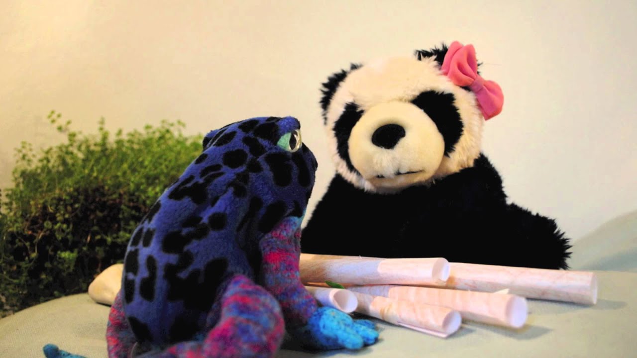 The Panda and the Frog - YouTube
